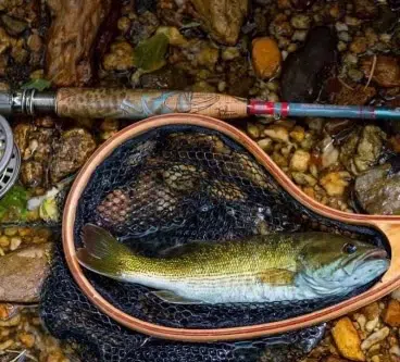Custom Cork Fishing Rod Grip Ideas - Anglers Resource