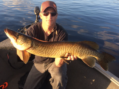 Musky Rods – The Ultimate Guide - Anglers Resource