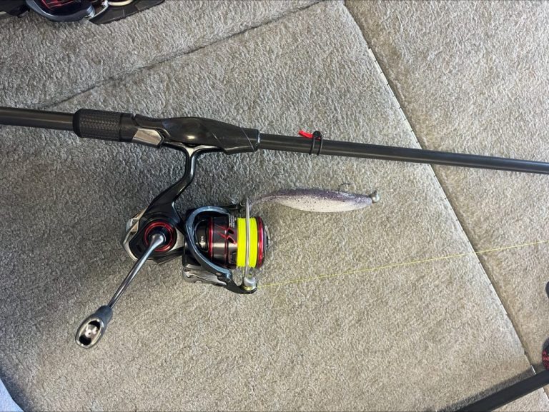 Forward Facing Sonar Rods - The Ultimate Guide - Anglers Resource