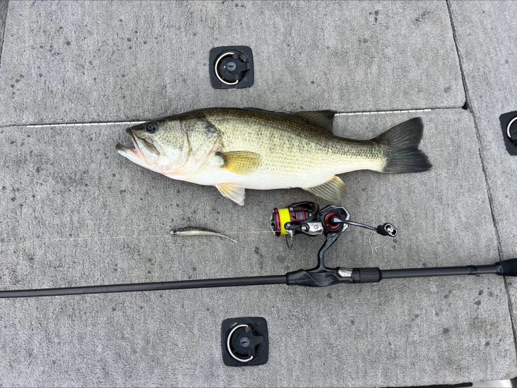 Forward Facing Sonar Rods - The Ultimate Guide - Anglers Resource